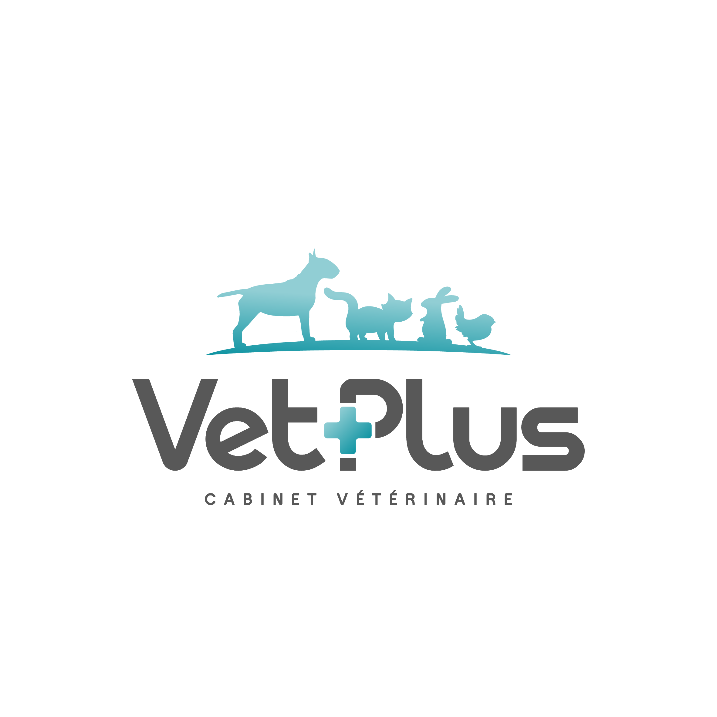 VetPlus - Cabinet vétérinaire à Neuchâtel
